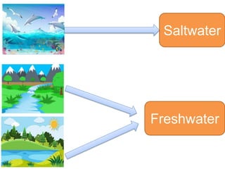 water interactive games for kids learning.pptx