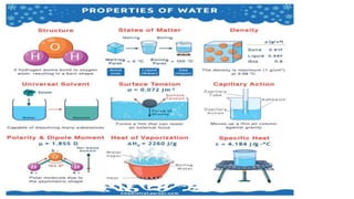 water biochemical properties and functions.pptx
