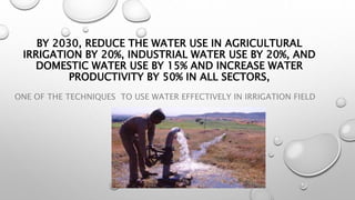 sustainable goal & water sanitisation.pptx