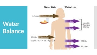 Water, it classification, importance and regulation | PPTX