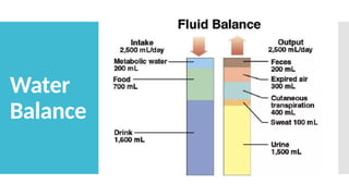 Water, it classification, importance and regulation | PPTX