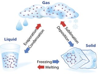 Water and its Reactions including water cycle.pptx