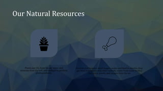 Water a precious resource | PPTX