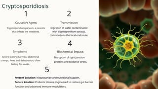 Water-Borne-Diseases ppt ( environmental biochemistry ) | PPTX