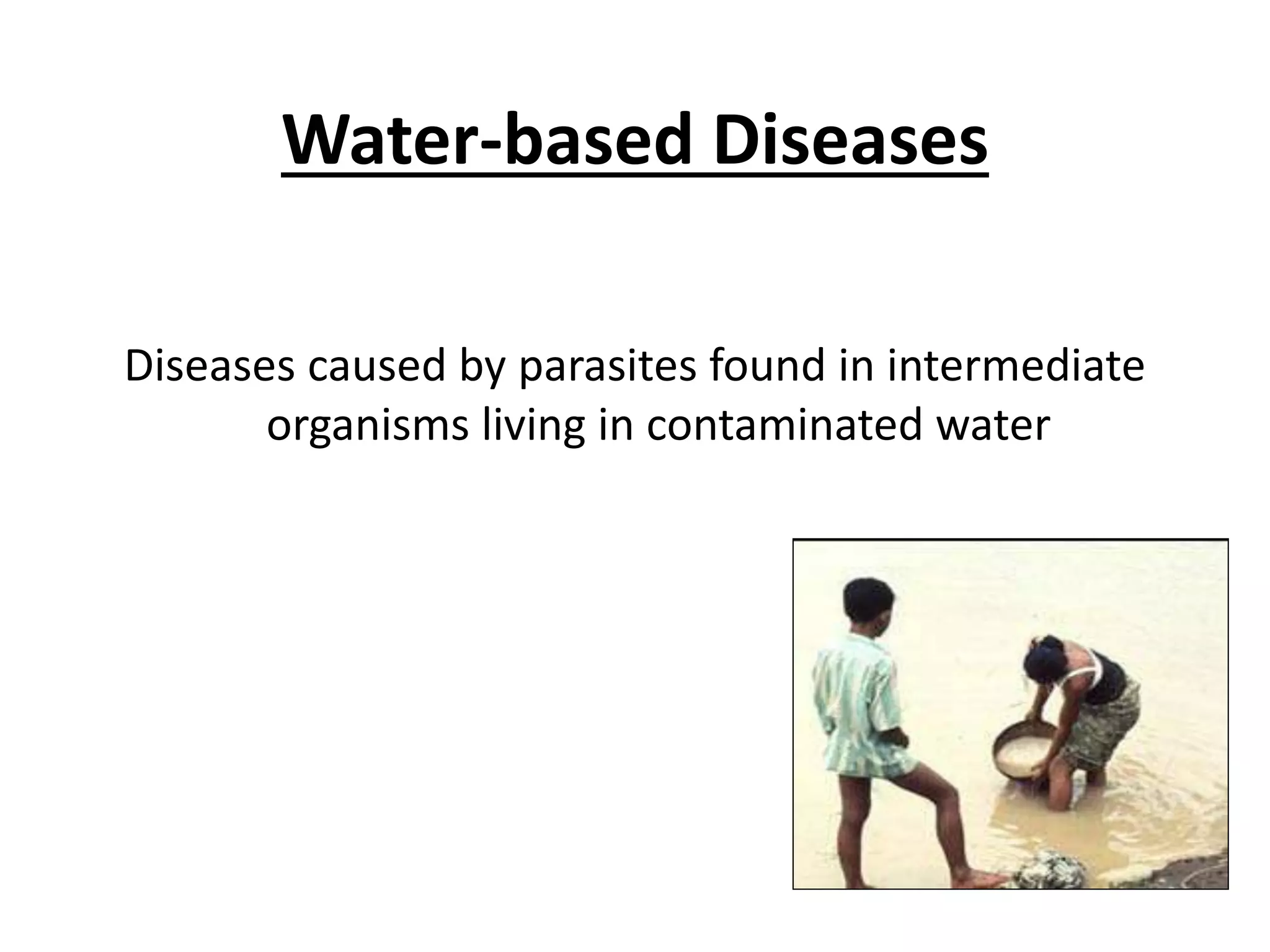 Water borne diseases | PPTX
