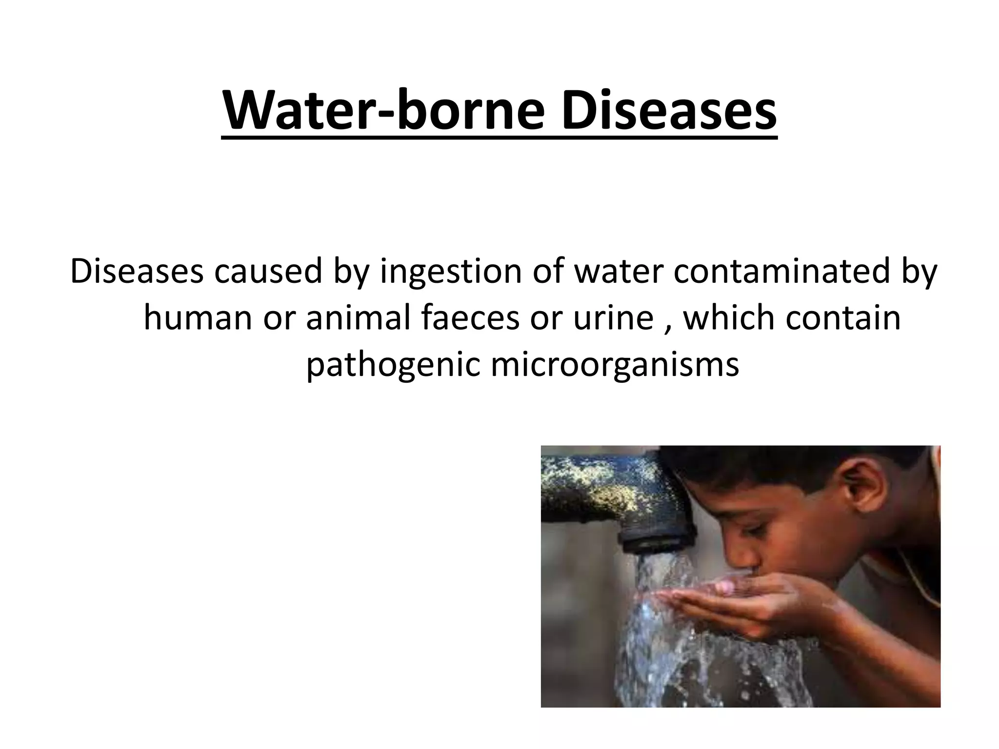 Water borne diseases | PPTX