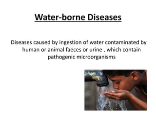 Water borne diseases | PPTX