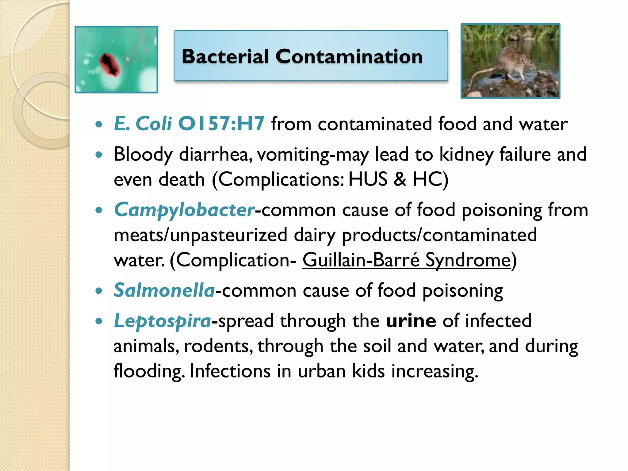 Water borne diseases | PDF