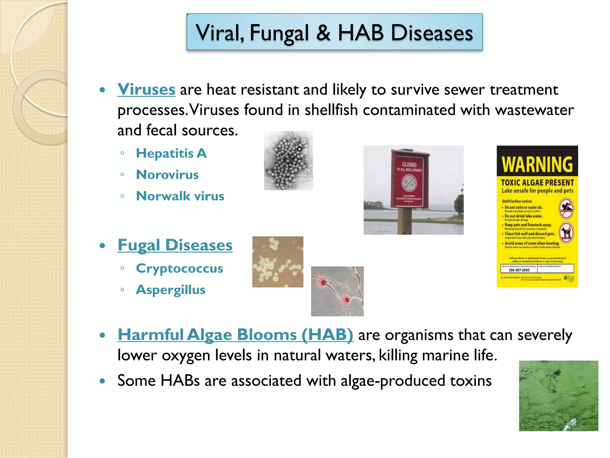 Water borne diseases | PDF