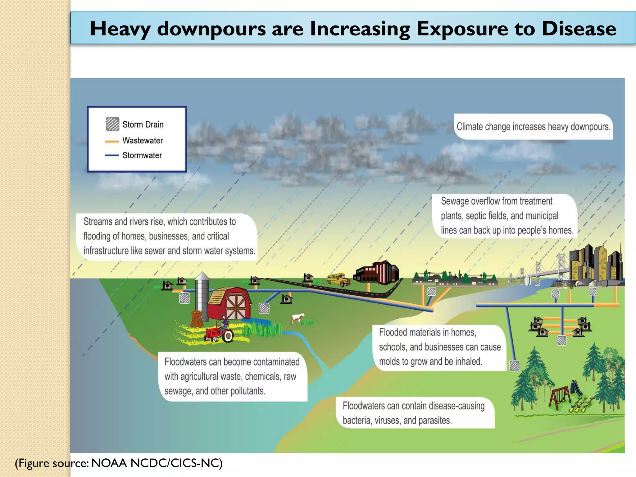 Water borne diseases | PDF