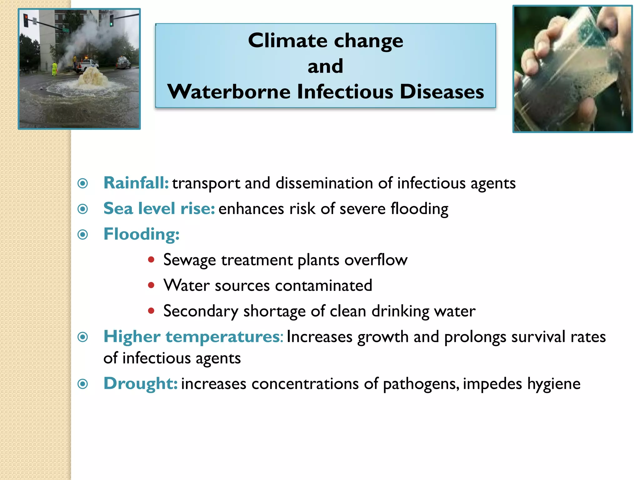 Water borne diseases | PDF