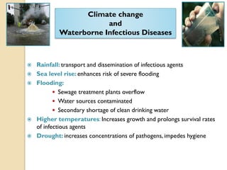 Water borne diseases | PDF