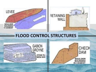 Water-Code-of-the-Philippines (1).pptx