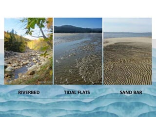 Water-Code-of-the-Philippines (1).pptx