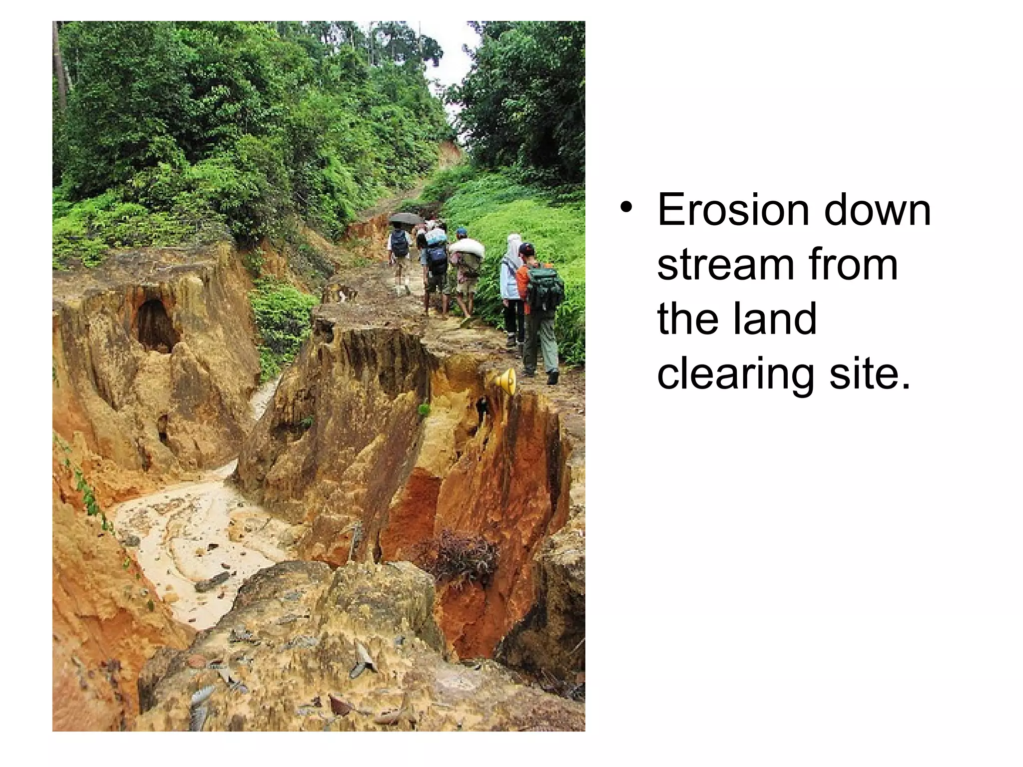 Water Contamination Evidence | PPT