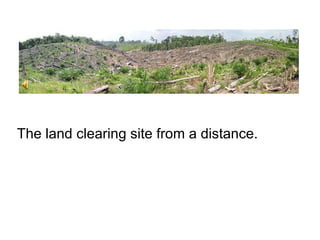 Water Contamination Evidence | PPT