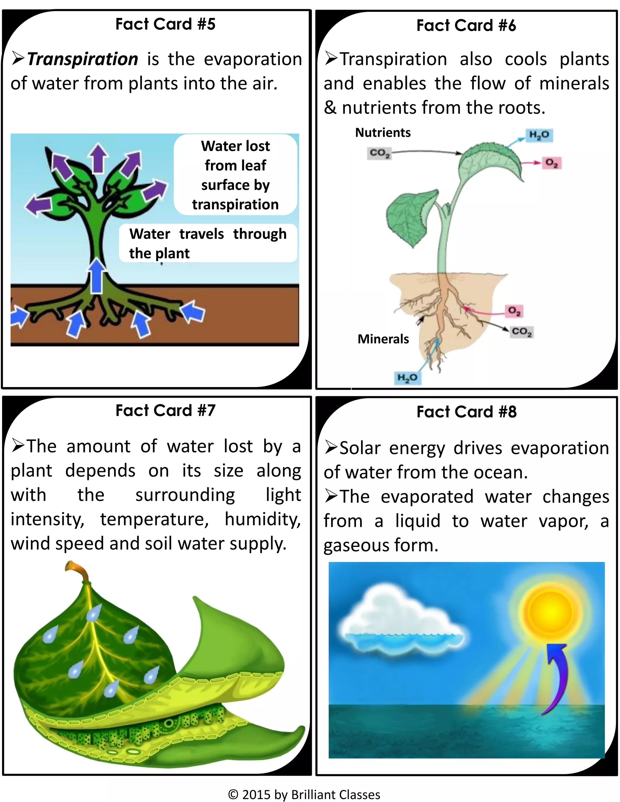 Water cycle-scavenger-hunt 1 | PDF