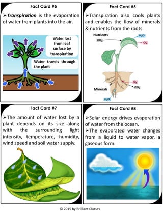 Water cycle-scavenger-hunt 1 | PDF