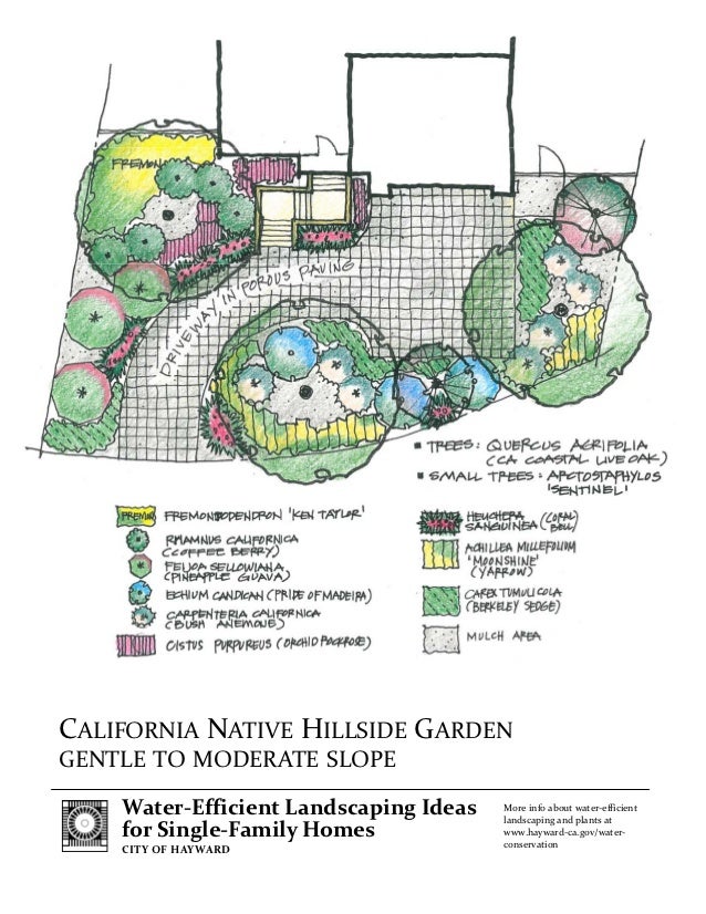 Water Saving Landscaping Ideas Money, Time And Saving Water In The