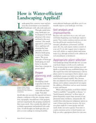 Water Efficient Landscaping: Preventing Pollution and Using Resources ...