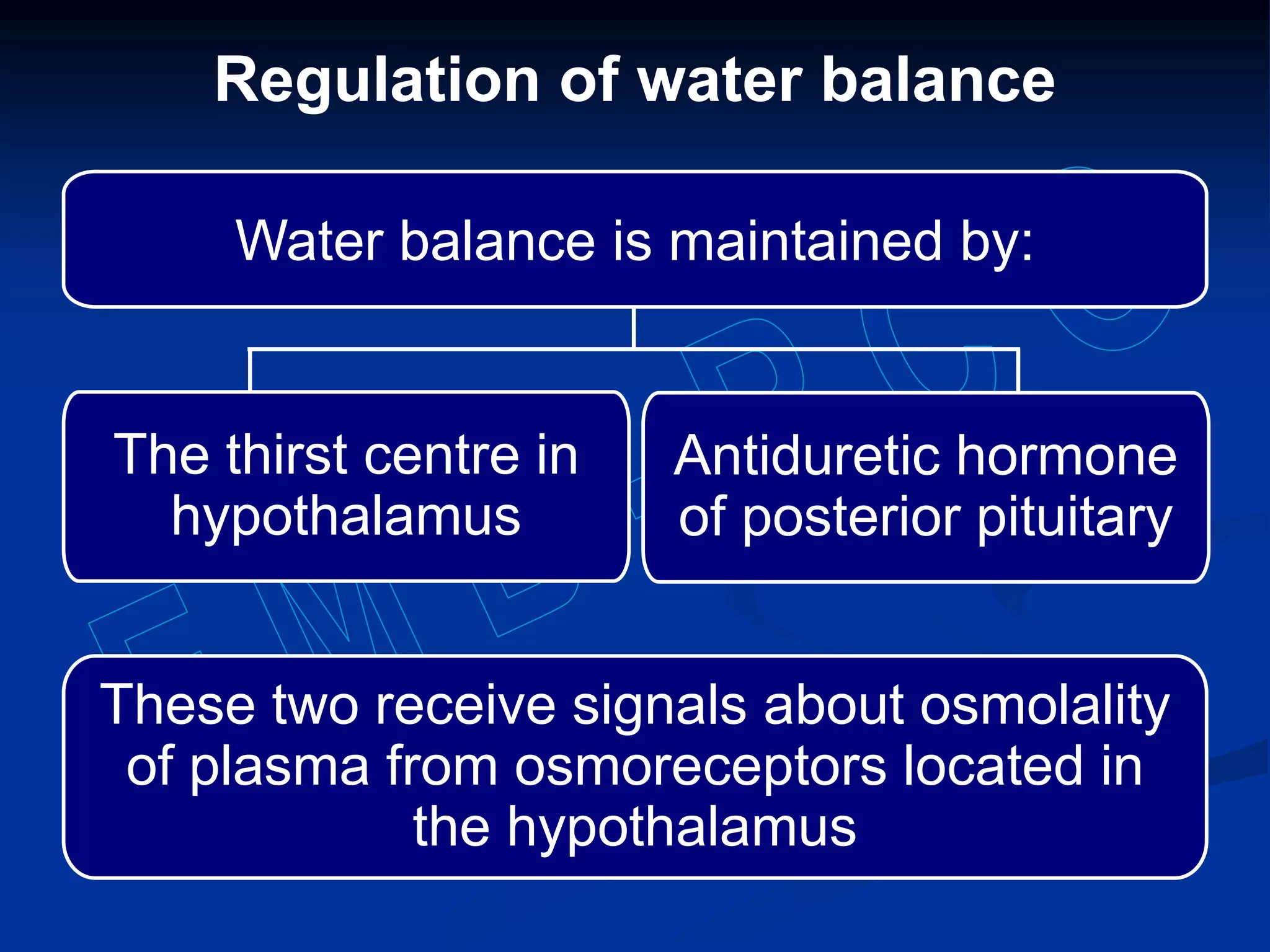 Water and electrolyte balance | PPTX