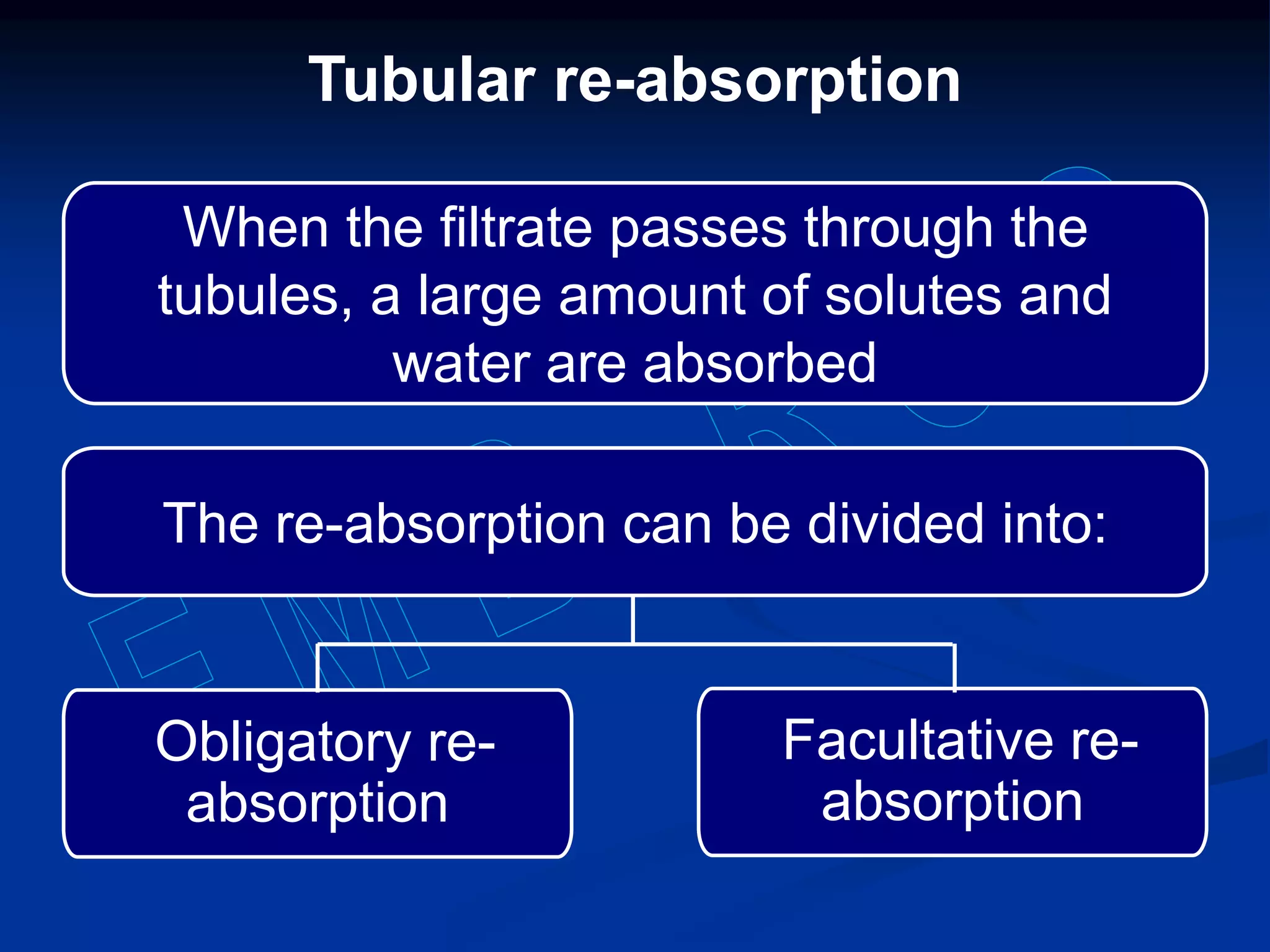 Water and electrolyte balance | PPTX
