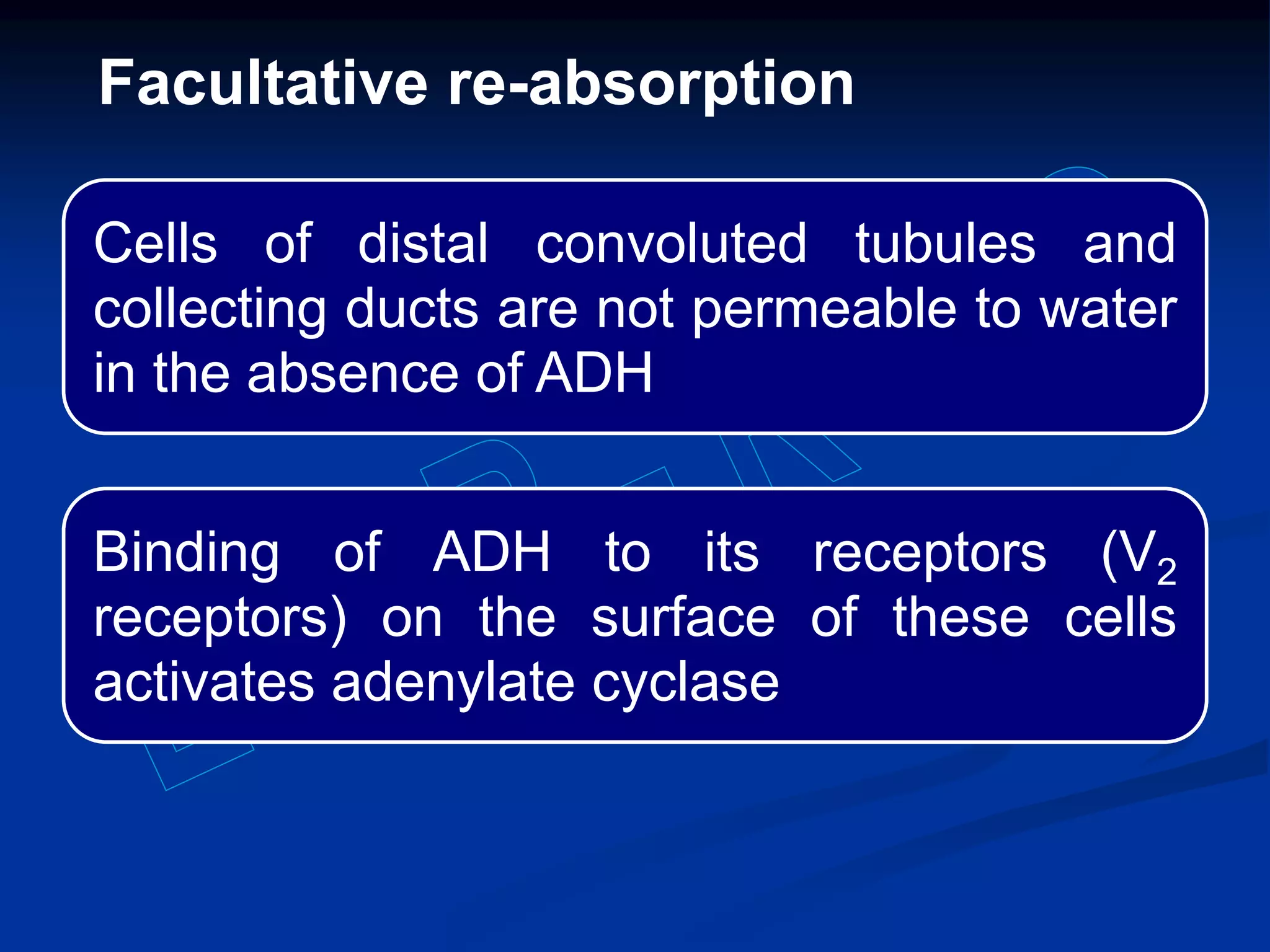 Water and electrolyte balance | PPTX