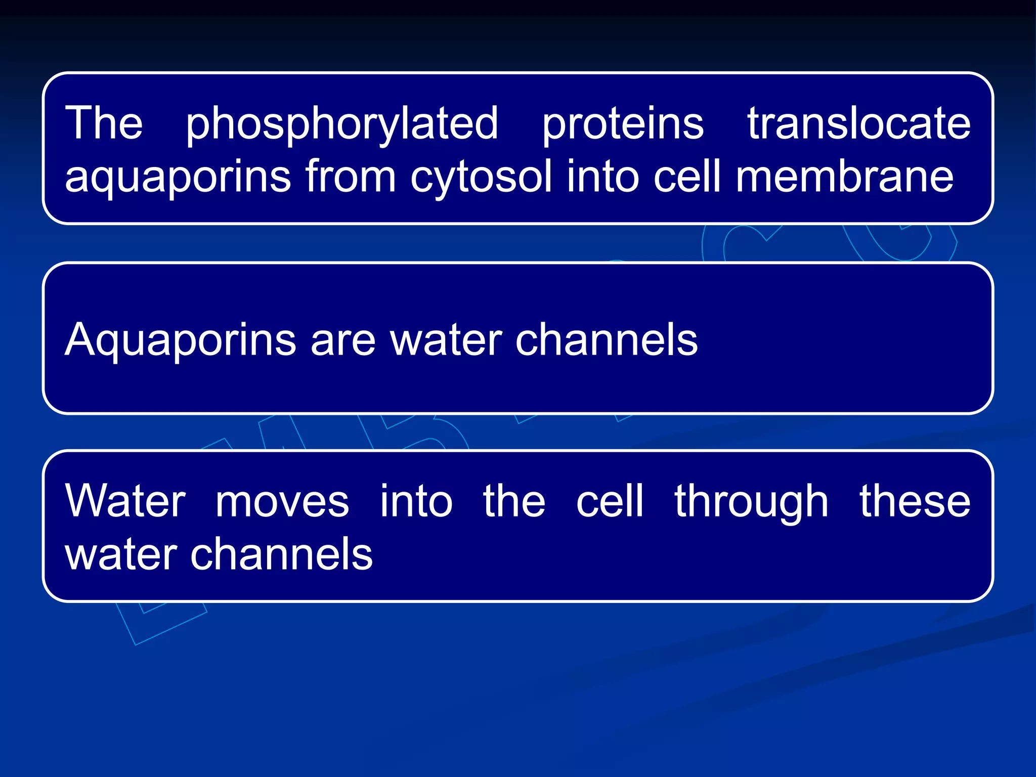 Water and electrolyte balance | PPTX | Chemistry | Science