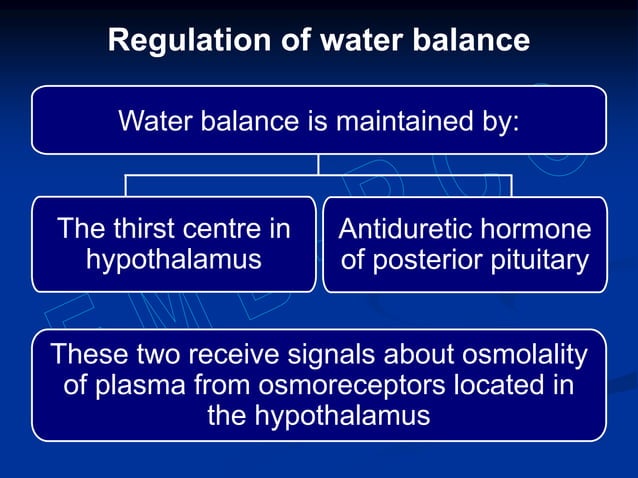 Water and electrolyte balance | PPTX | Chemistry | Science