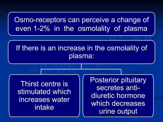 Water and electrolyte balance | PPTX | Chemistry | Science