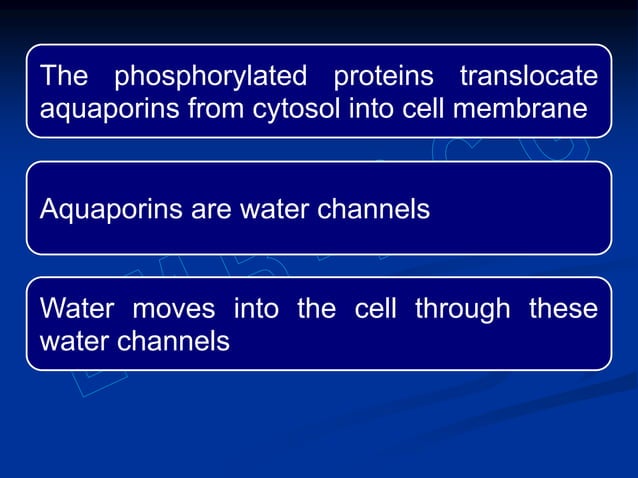 Water and electrolyte balance | PPTX | Chemistry | Science
