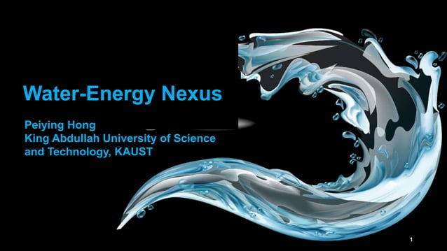 Water-Energy Nexus - Peiying Hong.pdf