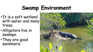 Water environment grade 1 | PPT