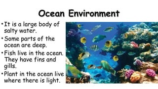 Water environment grade 1 | PPT