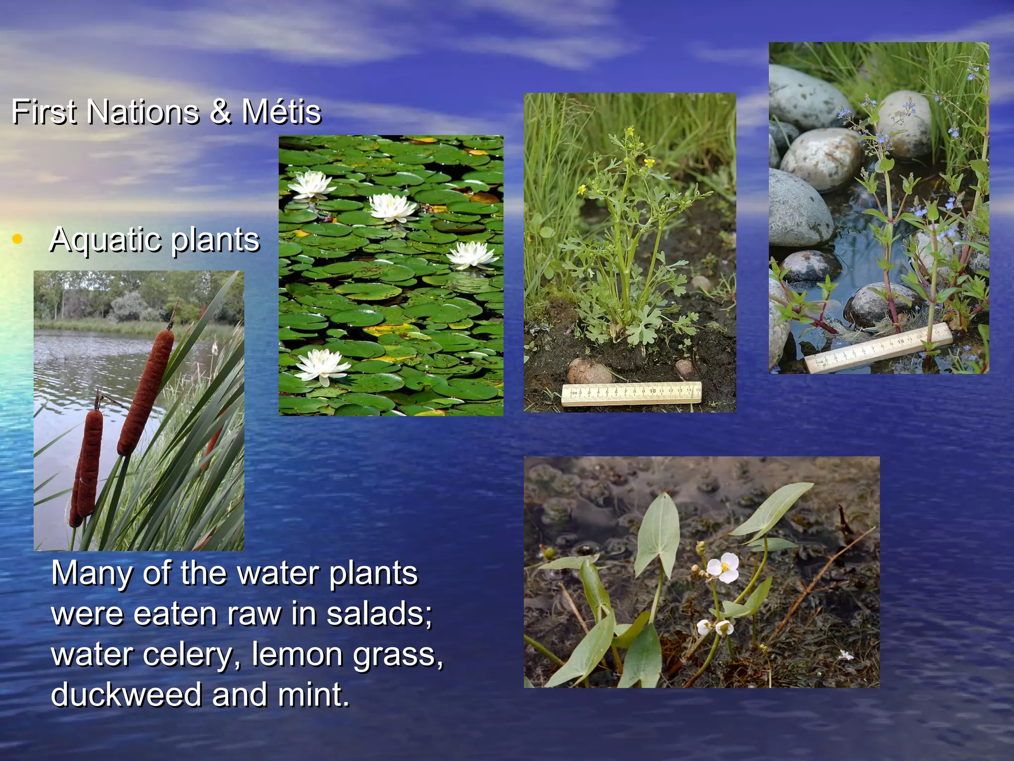 Water first nations ws8.3 | PPT