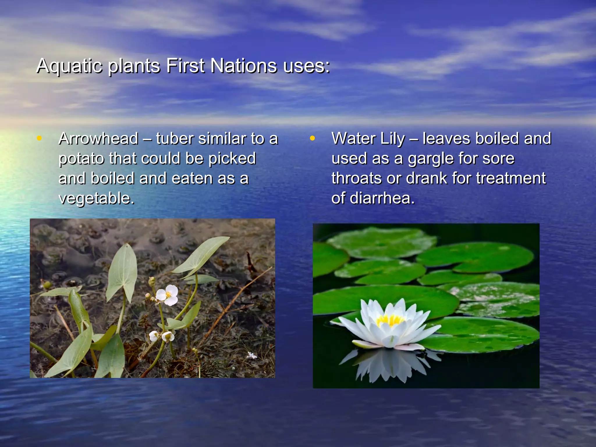 Water first nations ws8.3 | PPT