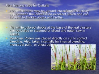 Water first nations ws8.3 | PPT