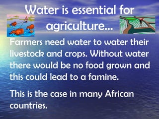 Water Matters | PPT | Agriculture | Industries