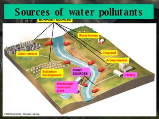 Water Pollution | PPT
