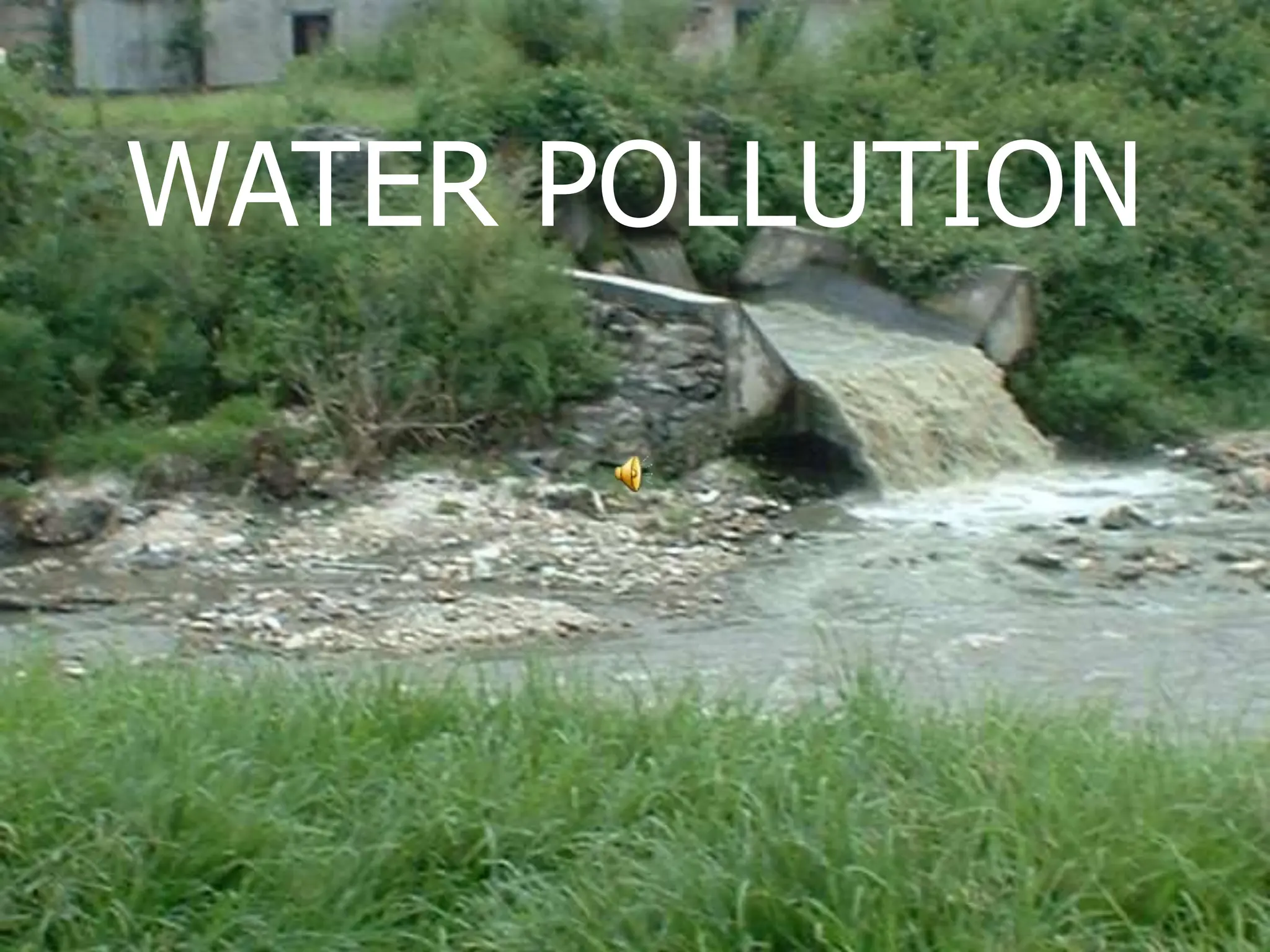 water pollution and its impact on the environment | PPT