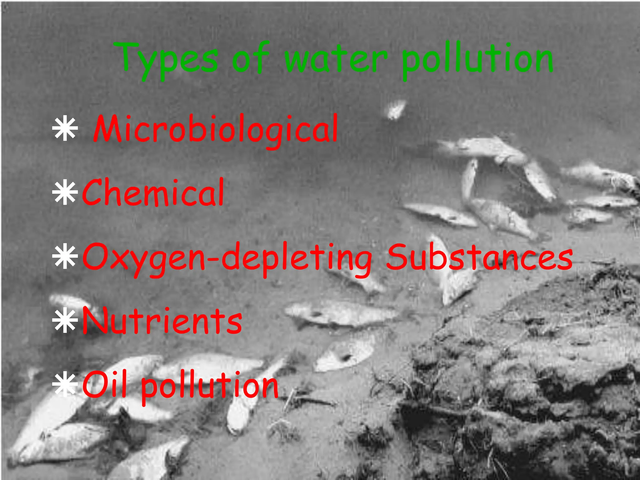 water pollution and its impact on the environment | PPT