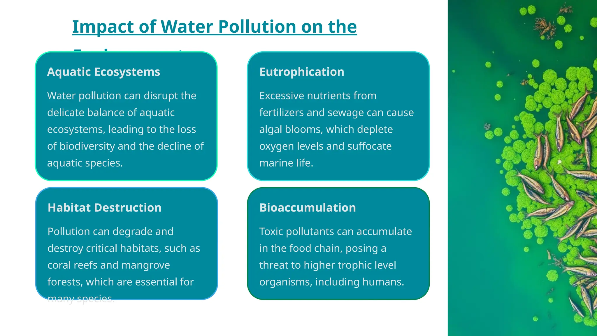 Water-Pollution-and-Marine-Water-Pollution1.pptx