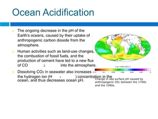 Water pollution and treatment PPT | PPTX