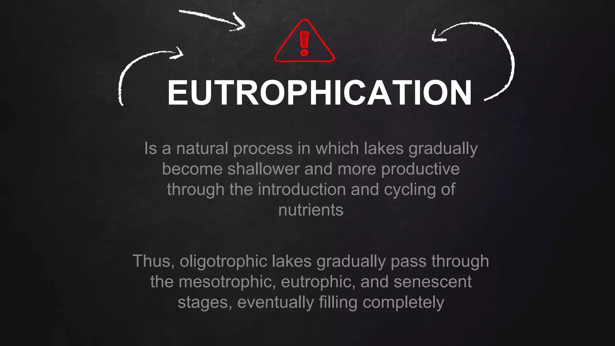 Water Pollution in Lakes | PPTX