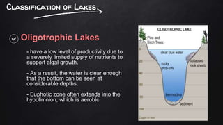 Water Pollution in Lakes | PPTX