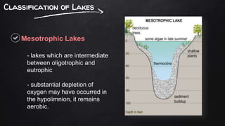 Water Pollution in Lakes | PPTX