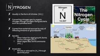 Water Pollution in Lakes | PPTX