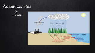 Water Pollution in Lakes | PPTX