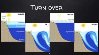 Water Pollution in Lakes | PPTX