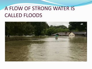 Water-PowerPoint Presentation.pptx